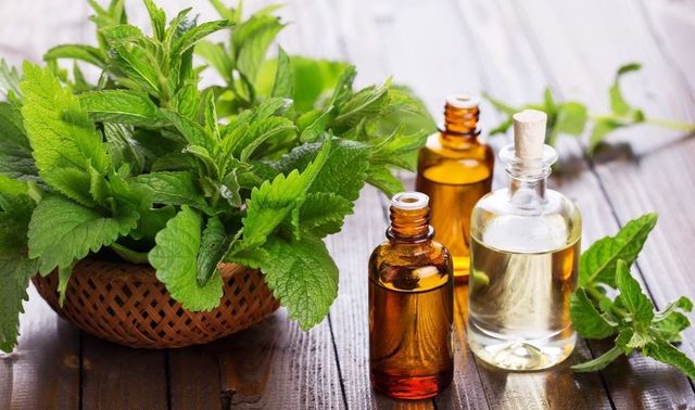 Patchouli essential oil store